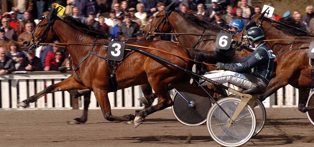 Victory Tilly - Solvalla