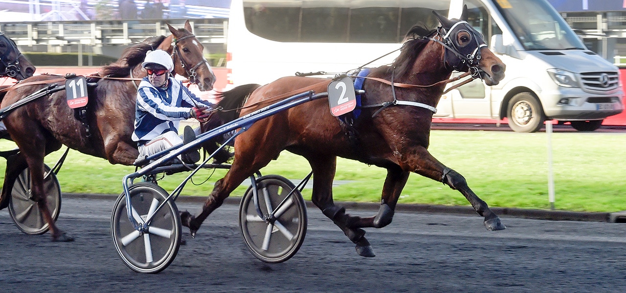 HORSY DREAM LÄMNAR ÅTERBUD TILL ELITLOPPET - Solvalla