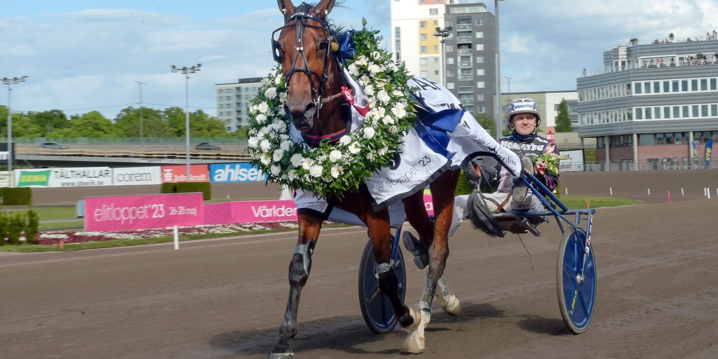 Breeders Course växer och blir jämlikt - Solvalla