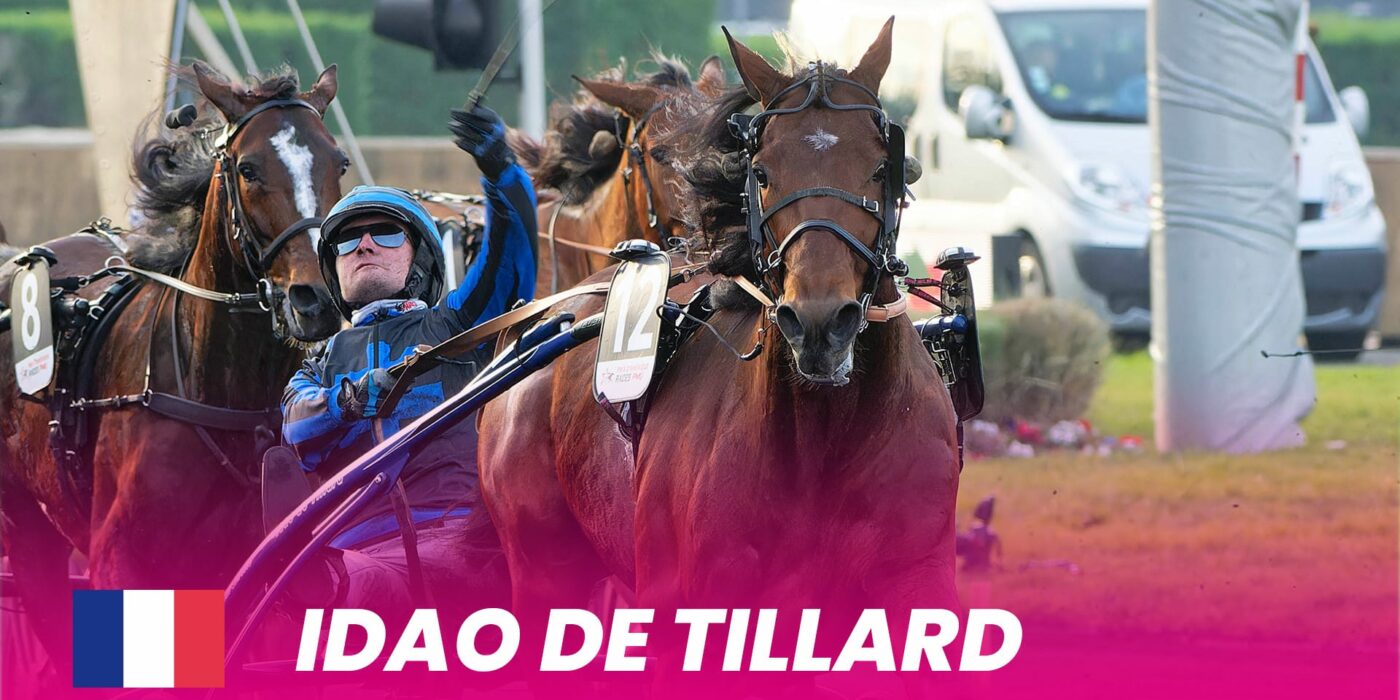 Superstjärnan Idao de Tillard kommer till Elitloppet 2024 - Solvalla