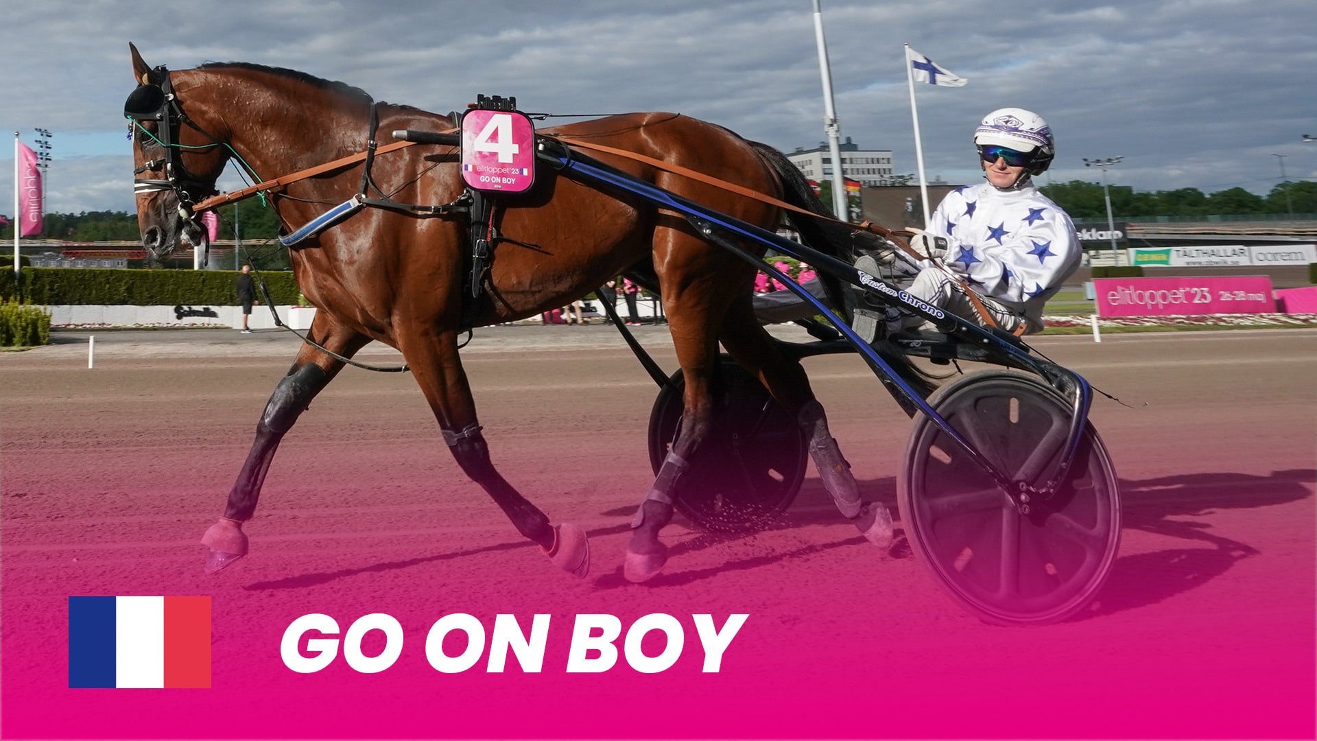 Go On Boy jagar revansch i Elitloppet - Solvalla