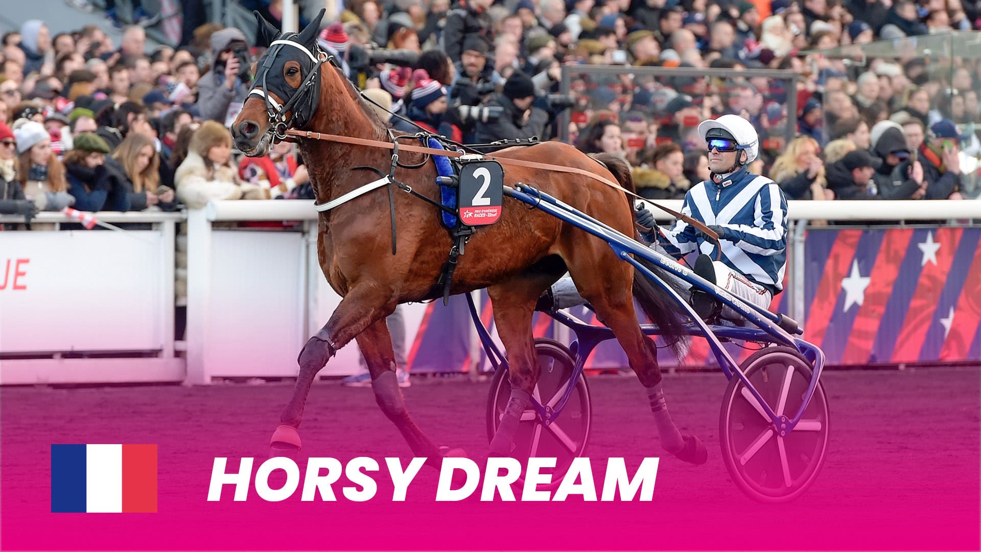 Horsy Dream till Elitloppet 2024 - Solvalla
