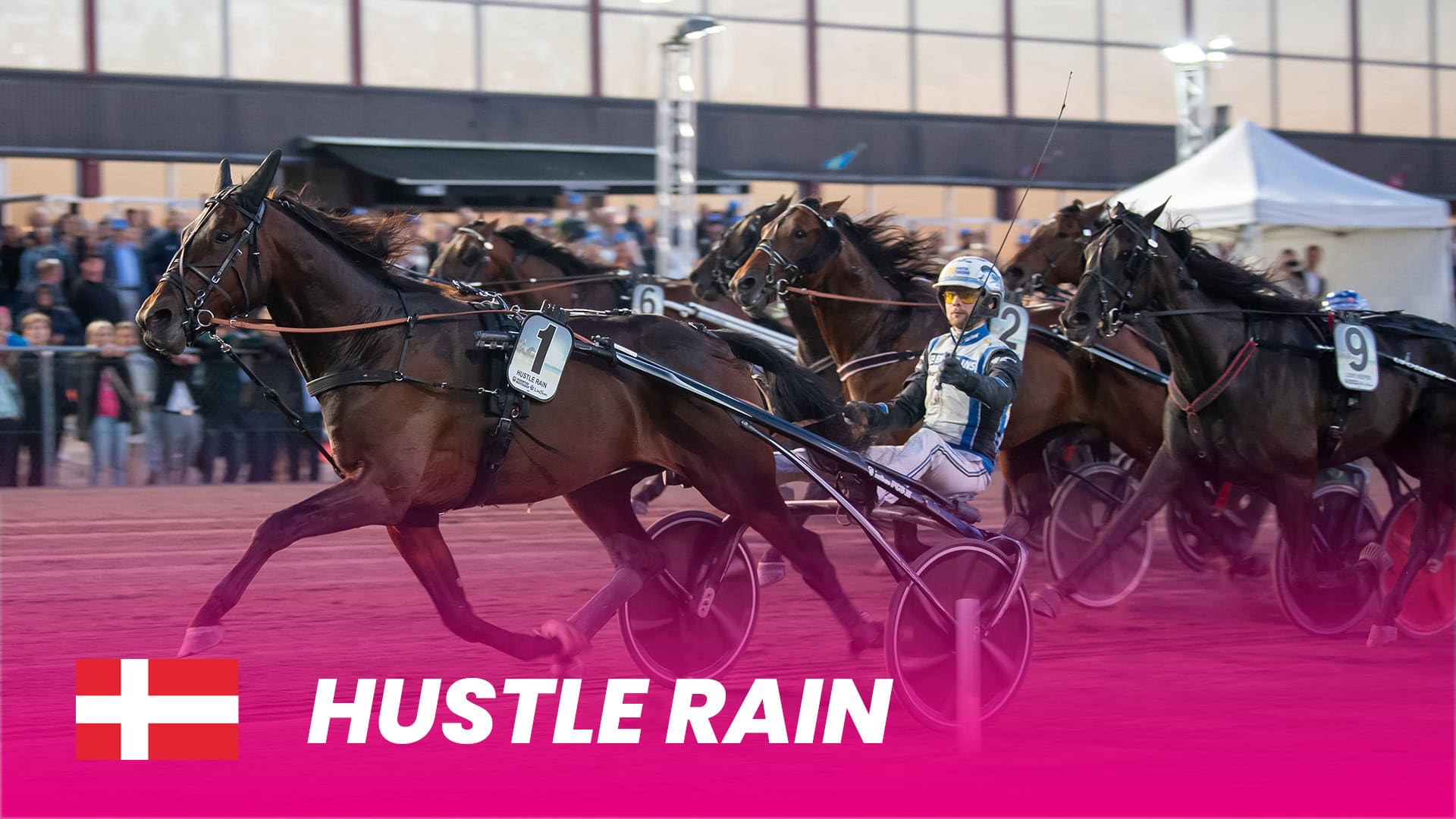 Hustle Rain till Elitloppet 2024 - Solvalla