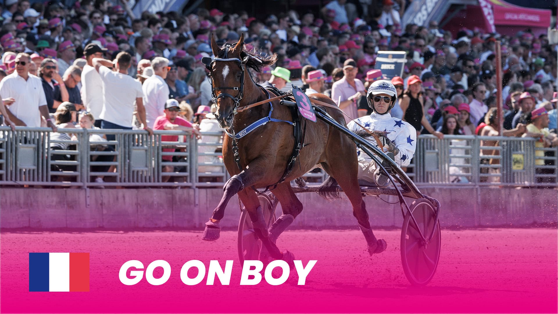 Go On Boy först inbjuden till Elitloppet 2025 - Solvalla