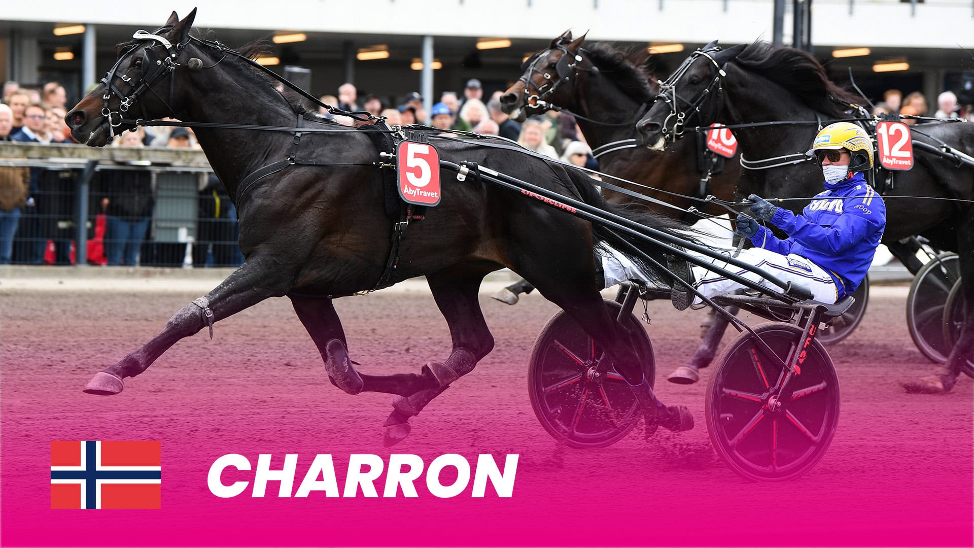 Charron är Norges hopp i Elitloppet 2025 - Solvalla