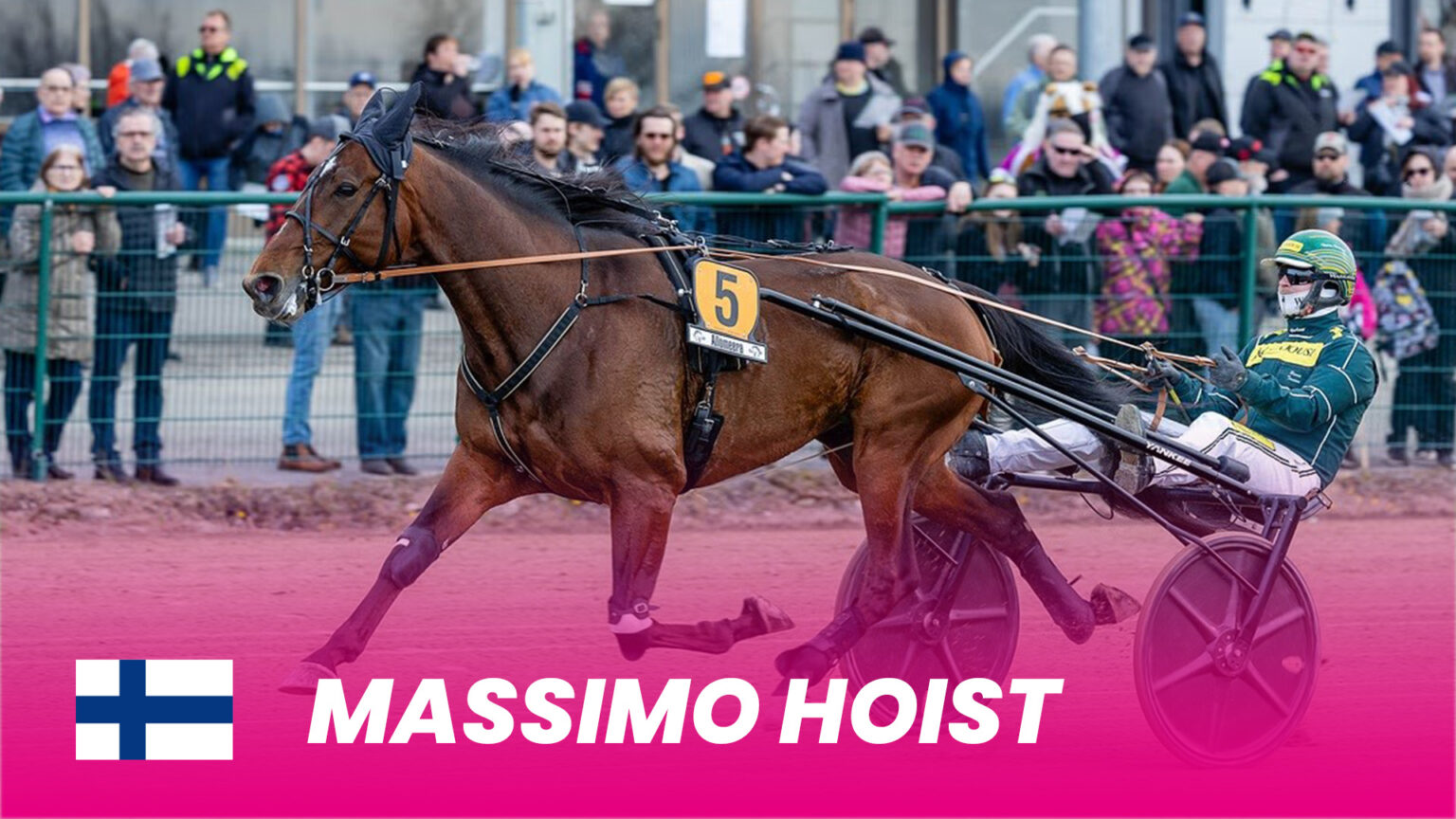 Massimo Hoist tar den sista platsen till Elitloppet 2025 - Solvalla