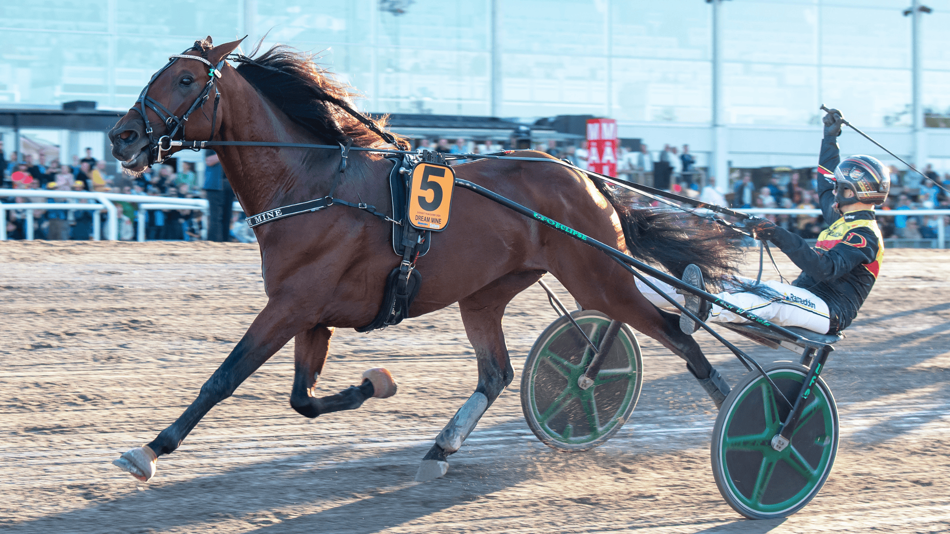 Spårlottat i Europaderbyt! - Solvalla