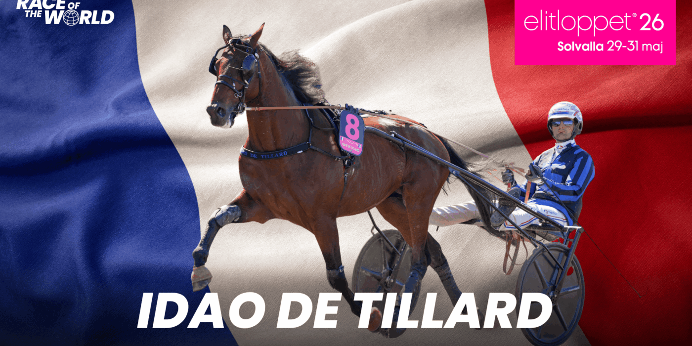 Idao de Tillard till Elitloppet! - Solvalla